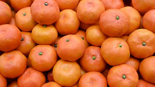 "Mandarin Orange" Images – Browse 439,399 Stock Photos, Vectors, and ...