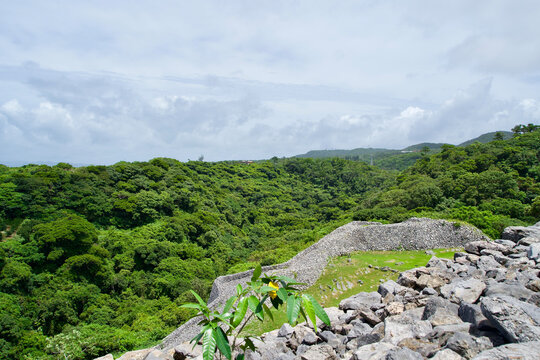 147 BEST Kunigami IMAGES, STOCK PHOTOS & VECTORS | Adobe Stock