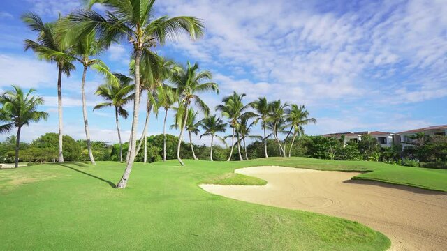 Palm Tree Golf Images – Browse 16,379 Stock Photos, Vectors, and Video ...