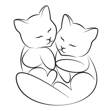 "Two Cats" Images – Browse 1,357 Stock Photos, Vectors, and Video ...