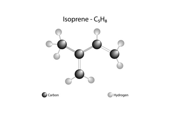 Isoprene Images – Browse 349 Stock Photos, Vectors, and Video | Adobe Stock