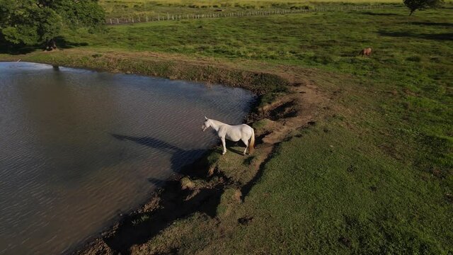 รูปภาพGirando – เลือกดูภาพถ่ายสต็อก เวกเตอร์ และวิดีโอ797 | Adobe Stock