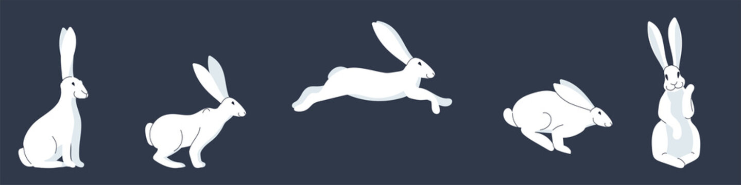 861,103 BÄSTA BILDERNA, STOCKFOTONA OCH VEKTORBILDERNA MED ...