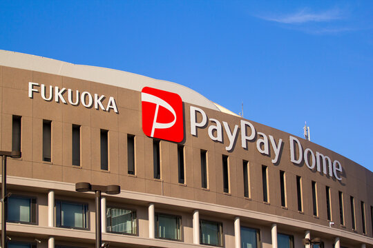 Paypay-Bilder: Stock-Fotos & -Videos. | Adobe Stock