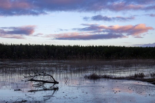 รูปภาพMarschland – เลือกดูภาพถ่ายสต็อก เวกเตอร์ และวิดีโอ677 | Adobe Stock