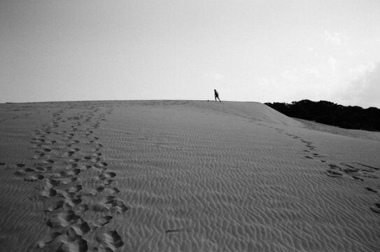 Nature Gradient Images – Browse 1,025,001 Stock Photos, Vectors, and ...