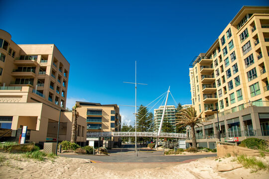 รูปภาพHaptera – เลือกดูภาพถ่ายสต็อก เวกเตอร์ และวิดีโอ1,426 | Adobe Stock