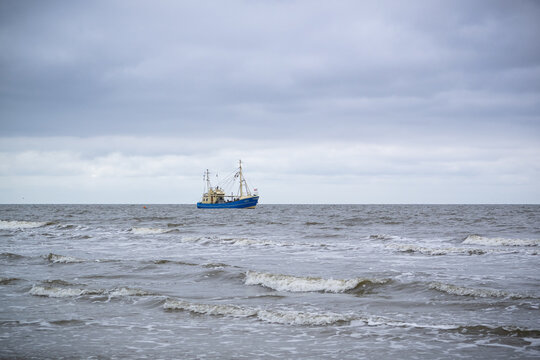 Coastside Images – Browse 866 Stock Photos, Vectors, and Video | Adobe ...