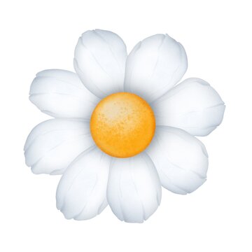 Single Flower Cartoon Images – Browse 17,001 Stock Photos, Vectors, and ...