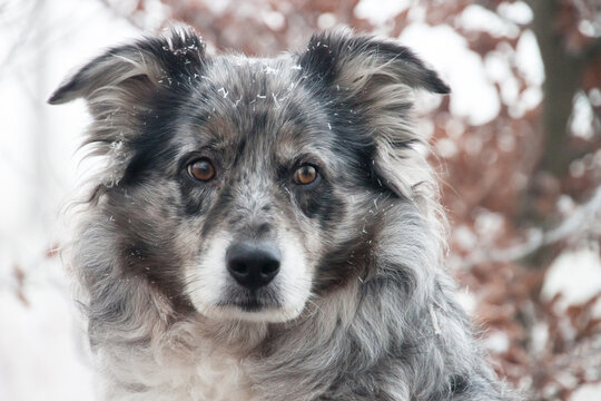 รูปภาพPfiffig – เลือกดูภาพถ่ายสต็อก เวกเตอร์ และวิดีโอ8,141 | Adobe Stock