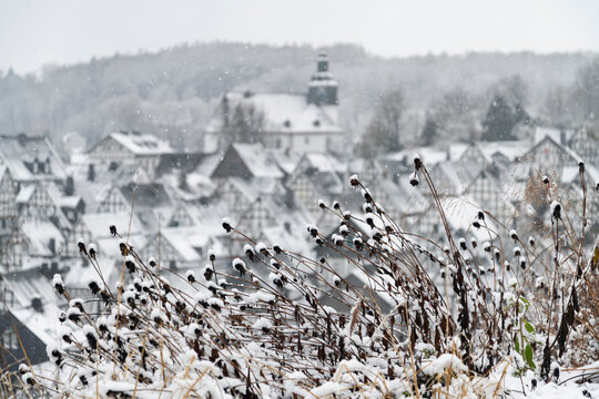 Freudenberg Images – Browse 1,215 Stock Photos, Vectors, and Video ...