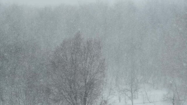 รูปภาพSnowstorm – เลือกดูภาพถ่ายสต็อก เวกเตอร์ และวิดีโอ456,179 | Adobe ...