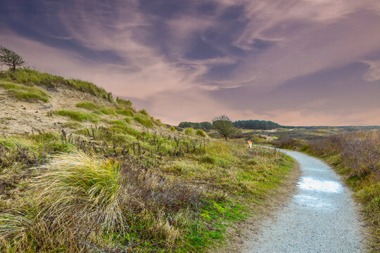 Imágenes de Duin: descubre bancos de fotos, ilustraciones, vectores y ...