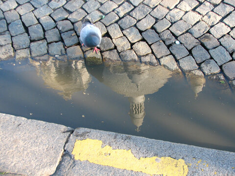 รูปภาพRinnstein – เลือกดูภาพถ่ายสต็อก เวกเตอร์ และวิดีโอ220 | Adobe Stock