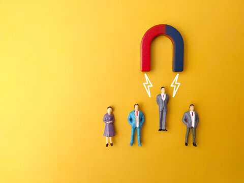 Imágenes de Attract: descubre bancos de fotos, ilustraciones, vectores ...