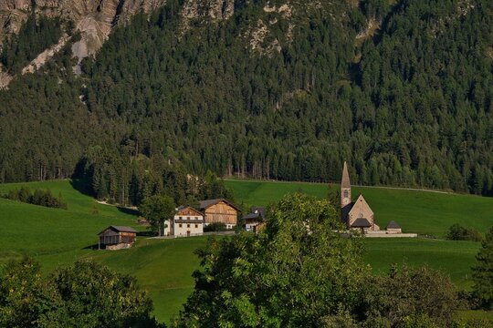 Haustrum Bilder – Durchsuchen 194 Archivfotos, Vektorgrafiken und ...