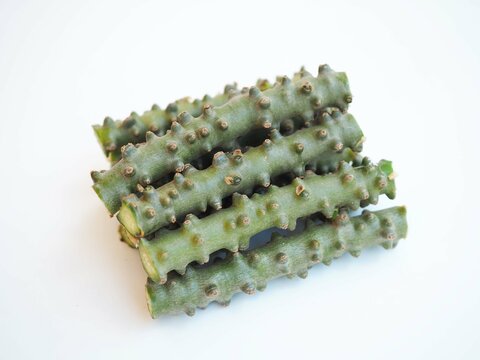 รูปภาพGiloe – เลือกดูภาพถ่ายสต็อก เวกเตอร์ และวิดีโอ552 | Adobe Stock