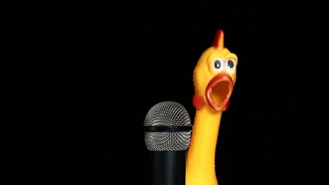 Rubber Chicken Images – Browse 6,046 Stock Photos, Vectors, and Video ...