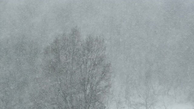 Snow-Fall Images – Browse 643 Stock Photos, Vectors, and Video | Adobe ...
