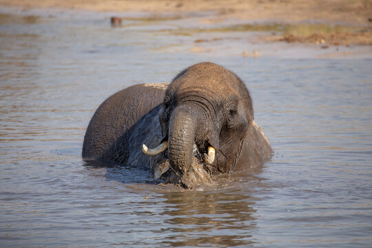Badender Bilder – Durchsuchen 749 Archivfotos, Vektorgrafiken und ...