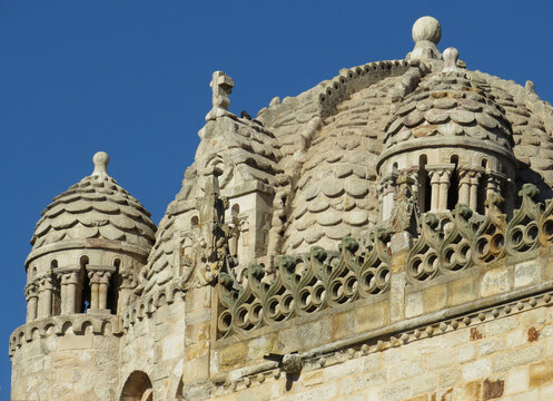 Tiburio Immagini - Sfoglia 2,587 foto, vettoriali e video Stock | Adobe ...