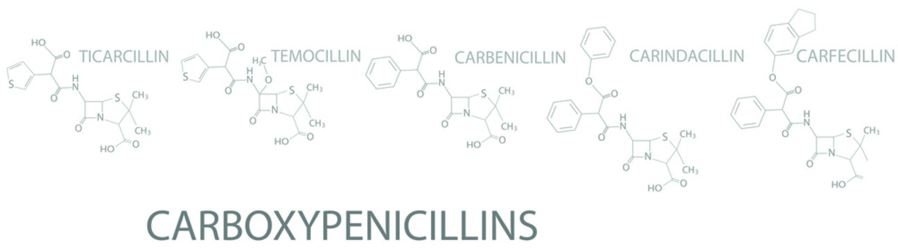 Ticarcillin Bilder – Durchsuchen 26 Archivfotos, Vektorgrafiken und ...