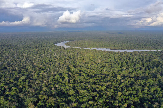 "Amazon River" Images – Browse 4,674 Stock Photos, Vectors, and Video ...