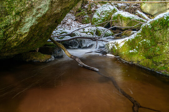 Ysperklamm bilder – Bläddra bland 479 stockfoton, vektorer och videor ...