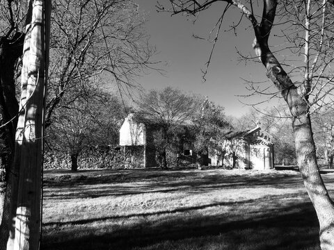 Fleury Images – Browse 398 Stock Photos, Vectors, and Video | Adobe Stock