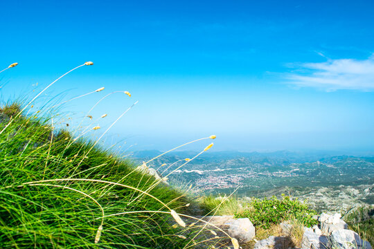 Stirovnik Bilder – Durchsuchen 104 Archivfotos, Vektorgrafiken und ...