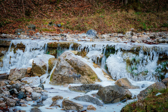 Gumpe Bilder – Durchsuchen 308 Archivfotos, Vektorgrafiken und Videos ...