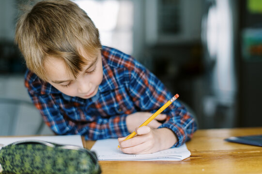 Homework Images – Browse 691,079 Stock Photos, Vectors, and Video ...