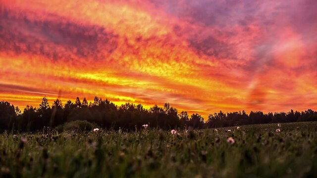 Oversaturated Images – Browse 1,650 Stock Photos, Vectors, and Video ...