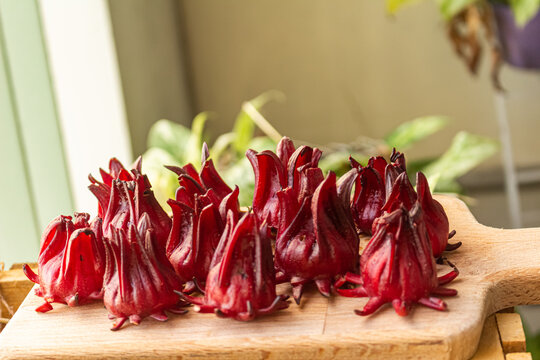 "Roselle Juice" Images – Browse 148 Stock Photos, Vectors, and Video ...