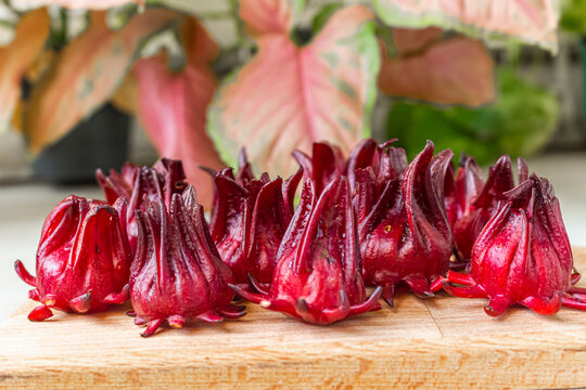"Roselle Juice" Images – Browse 148 Stock Photos, Vectors, and Video ...