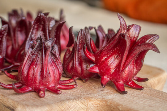 "Roselle Juice" Images – Browse 148 Stock Photos, Vectors, and Video ...