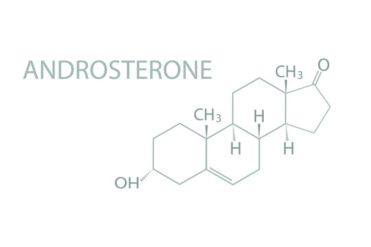 Androsterone Structure