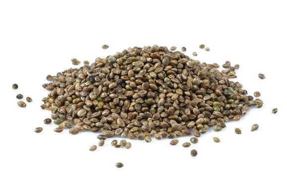 Hemp-Seed Images – Browse 90 Stock Photos, Vectors, and Video | Adobe Stock