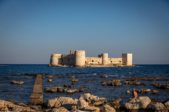 รูปภาพCorycus – เลือกดูภาพถ่ายสต็อก เวกเตอร์ และวิดีโอ1,332 | Adobe Stock