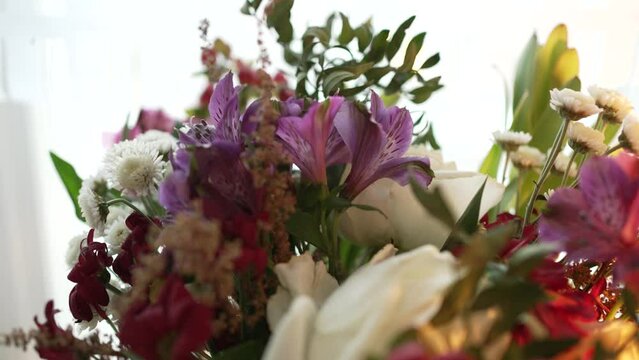 รูปภาพUnbloomed – เลือกดูภาพถ่ายสต็อก เวกเตอร์ และวิดีโอ358 | Adobe Stock