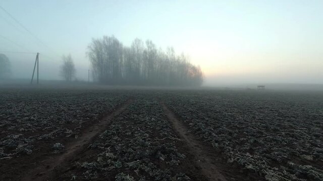 "Misty Field" Images – Browse 40 Stock Photos, Vectors, and Video | Adobe Stock