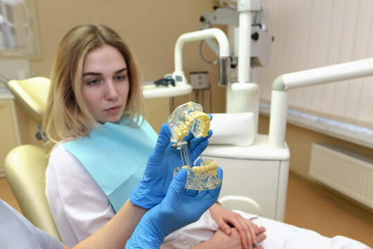 「Orthodontal」の画像 - 1,463 件の Stock 写真、ベクターおよびビデオ | Adobe Stock