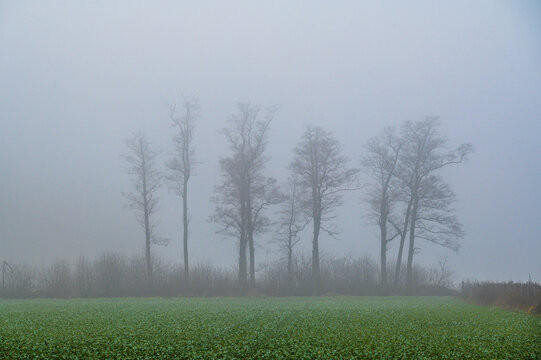 12,449 件の最適な Nebelig 画像、ストック写真、ベクター | Adobe Stock