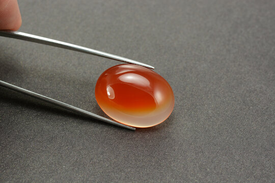 Cornaline Images – Browse 47 Stock Photos, Vectors, and Video | Adobe Stock