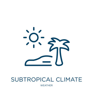 Afbeeldingen over Subtropen – Blader in stockfoto's, vectoren en video ...