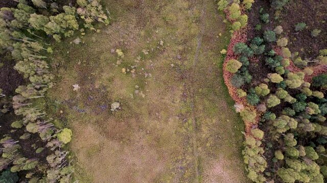 Peatland Images – Browse 86,393 Stock Photos, Vectors, and Video ...