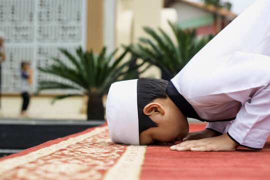 1,591 IMAGES, PHOTOS ET ILLUSTRATIONS VECTORIELLES STOCK APPROPRIÉES ...