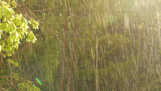 Sunshower Images – Browse 1,109 Stock Photos, Vectors, and Video ...