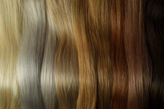 Free Hair Images – Browse 28,760 Free Stock Photos, Vectors, and Video ...