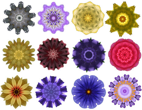 Geldeintreiber Bilder – Durchsuchen 6,056 Archivfotos, Vektorgrafiken ...